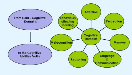 Cognitive Abilities Profile - Dynamic Assessment